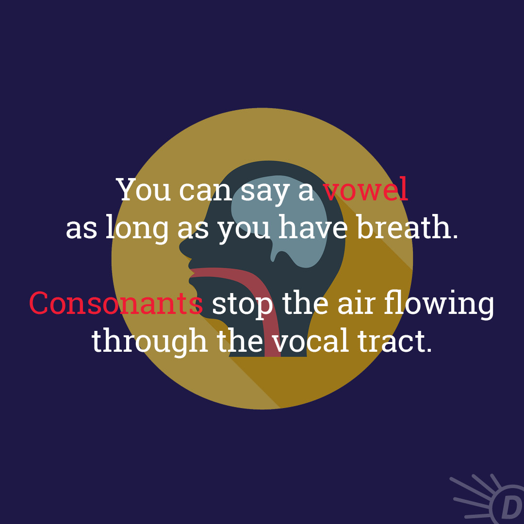 Why Are A E I O U And Y Called Vowels Everything After Z By