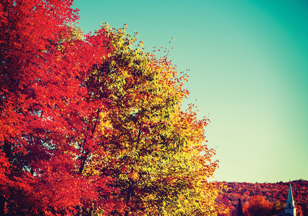 Seven Essential Words Of Fall Dictionary Seven Essential Words Of Fall Dictionary