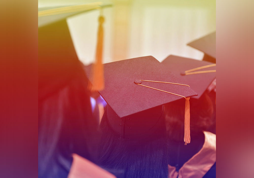 Alumni Vs Alumnus Dictionary