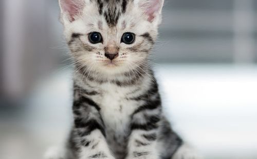 10 Of The Weirdest Phobia Names Dictionary 10-of-the-weirdest-phobia-names-dictionary