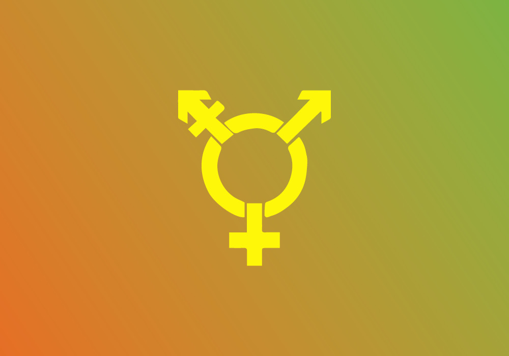 Gender Terms You Must Know - Everything After Z by Dictionary.com