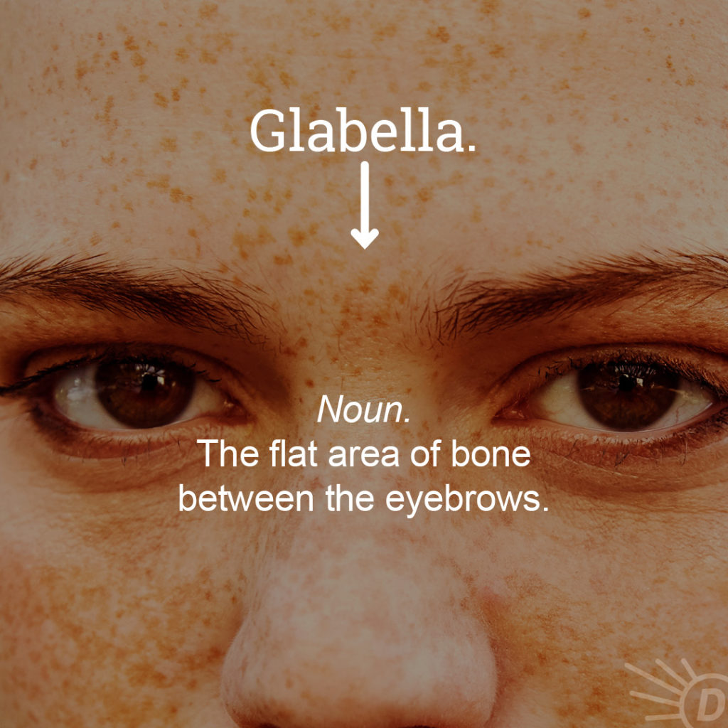 What's The Area Between Your Eyebrows Called? - Dictionary.com