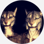 Khajiit | Origin and History | Dictionary.com