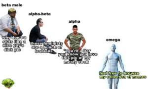 alpha Meaning & Origin | Slang by Dictionary.com
