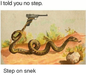 snek Meme | Meaning & History | Dictionary.com