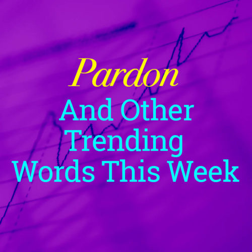 Word Trends & Stories on Everything After Z by Dictionary.com