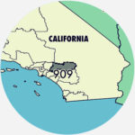 909 Meaning & Origin | Slang by Dictionary.com