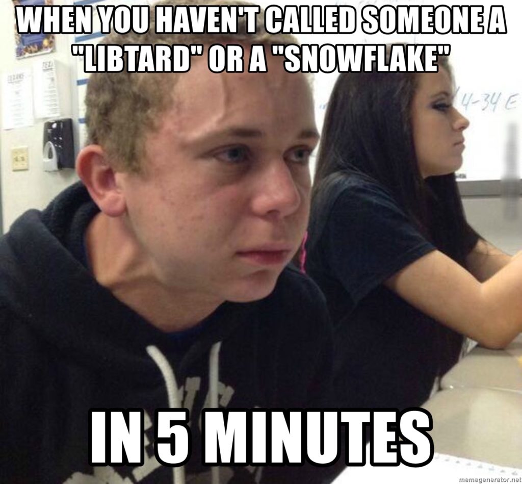 libtard Meaning & Origin | Slang by Dictionary.com