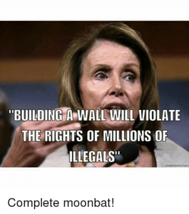 moonbat Meaning & Origin | Slang by Dictionary.com