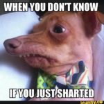 shart Meaning & Origin | Slang by Dictionary.com