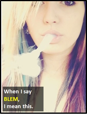 blem Meaning & Origin | Slang by Dictionary.com