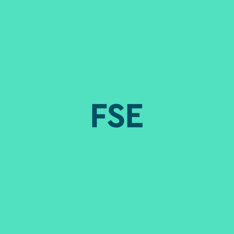 What Does 'FSE' Mean? | Acronyms by Dictionary.com