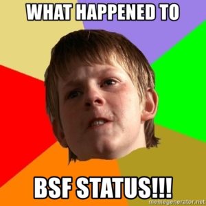 What Does 'BSF' Mean? | Acronyms by Dictionary.com