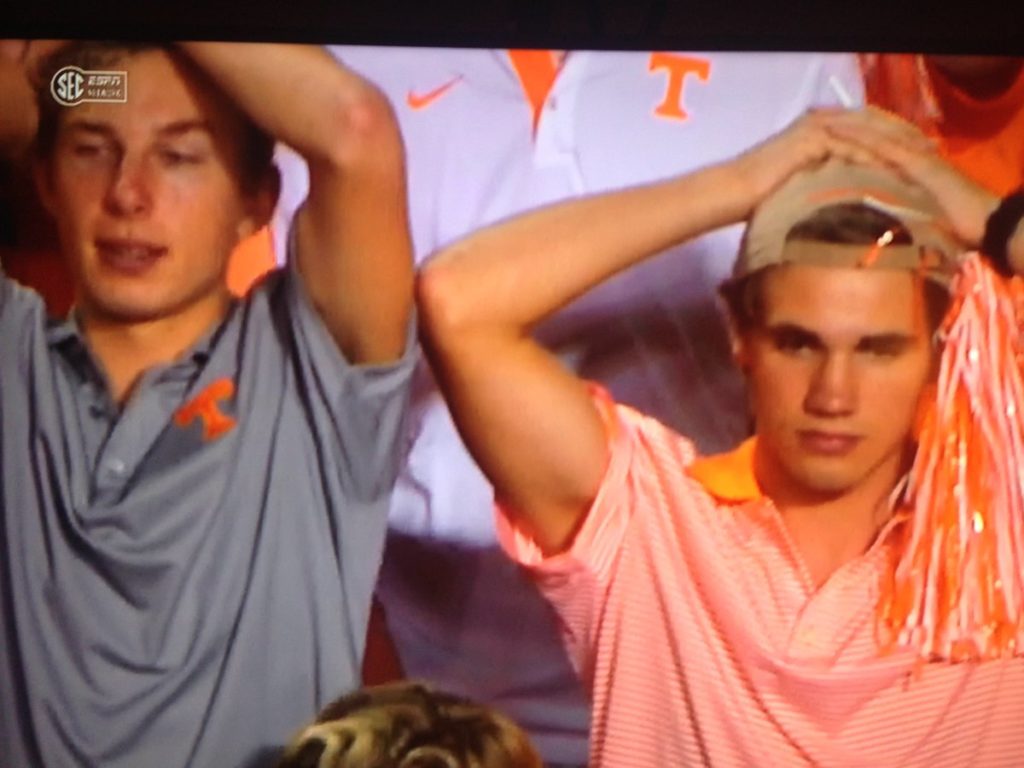 surrender cobra Meaning & Origin | Slang by Dictionary.com