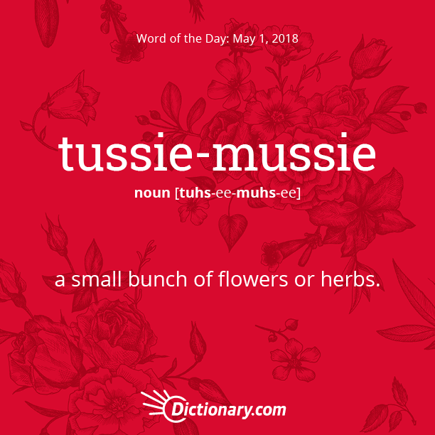 Word of the Day - tussie-mussie | Dictionary.com