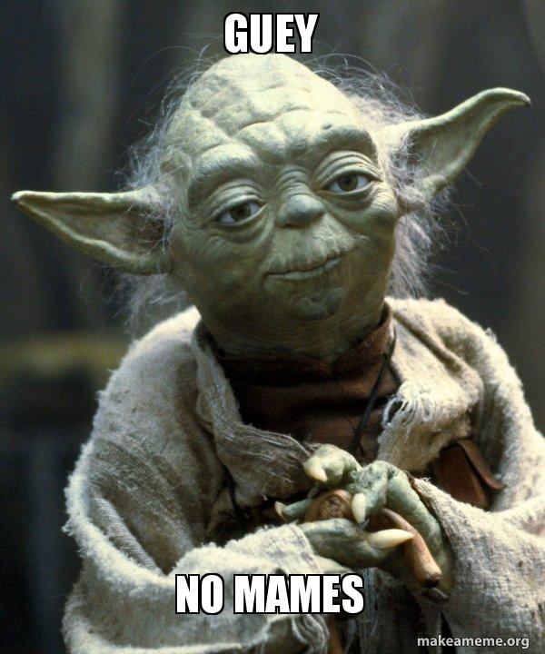 güey Meaning | Translations by Dictionary.com