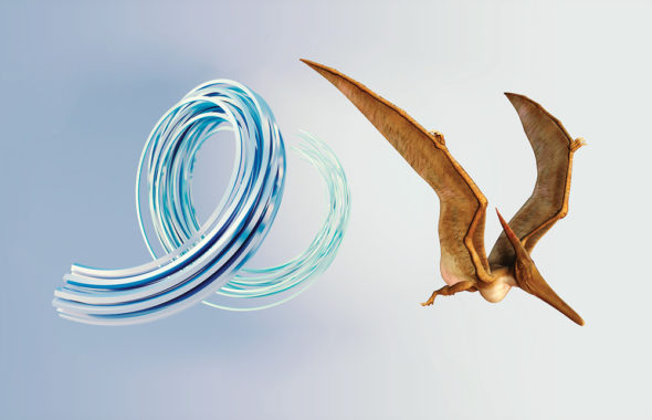 Ghost Words That Are Haunting The Dictionary - Everything After Z by ...