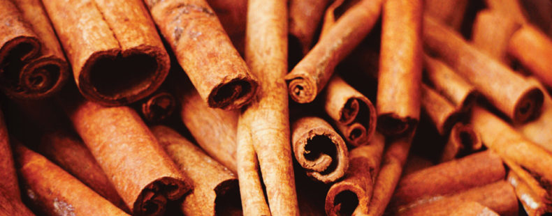 Cinnamon Words: Authors' Most Reused Words - Dictionary.com