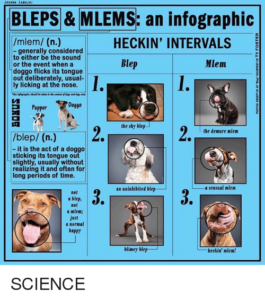 mlem Meaning & Origin | Slang by Dictionary.com