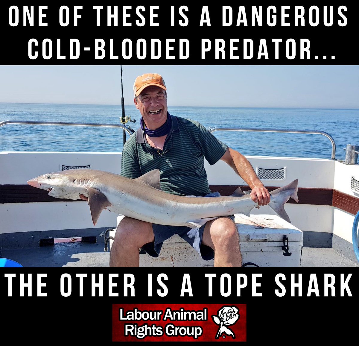 Tope Meaning | Pop Culture by Dictionary.com