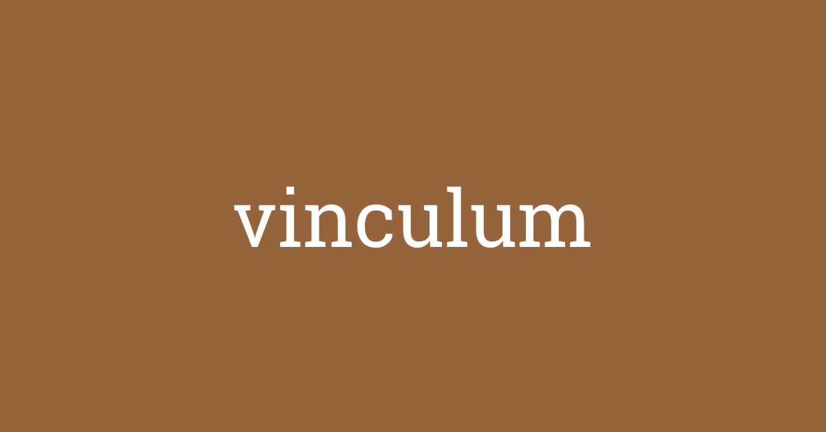Word of the Day - vinculum | Dictionary.com
