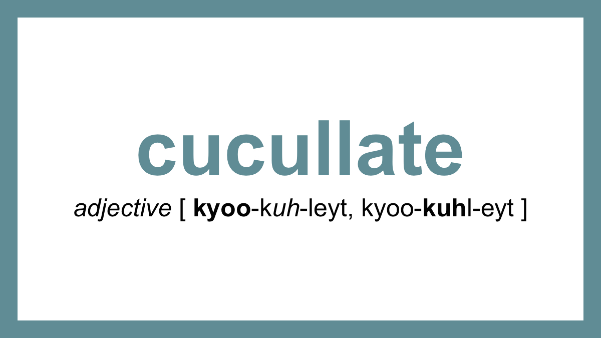 Word of the Day - cucullate | Dictionary.com