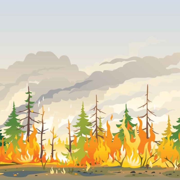 Pyrocene | Meaning & Origin | Dictionary.com