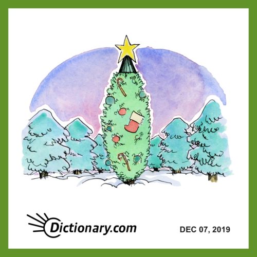 Word of the Day - fastigiate | Dictionary.com