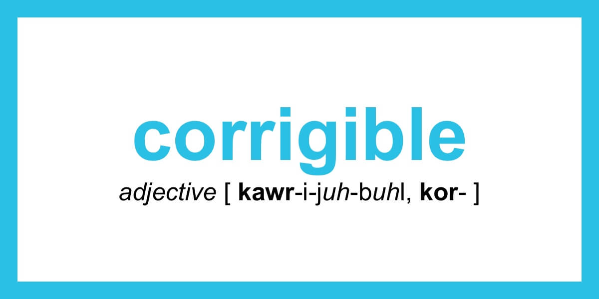 Word of the Day - corrigible | Dictionary.com