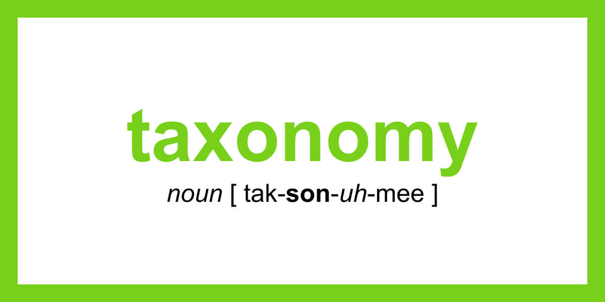 Word of the Day - taxonomy | Dictionary.com