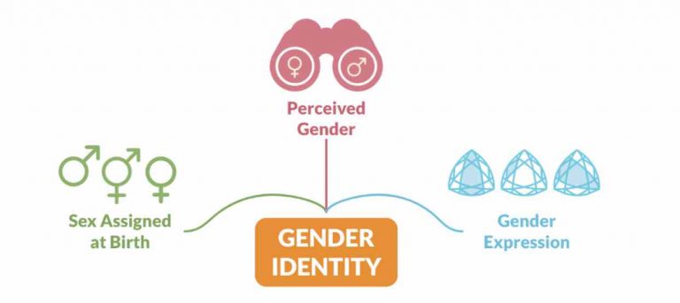 The Evolving Language of Gender Identity & Expression | Dictionary.com
