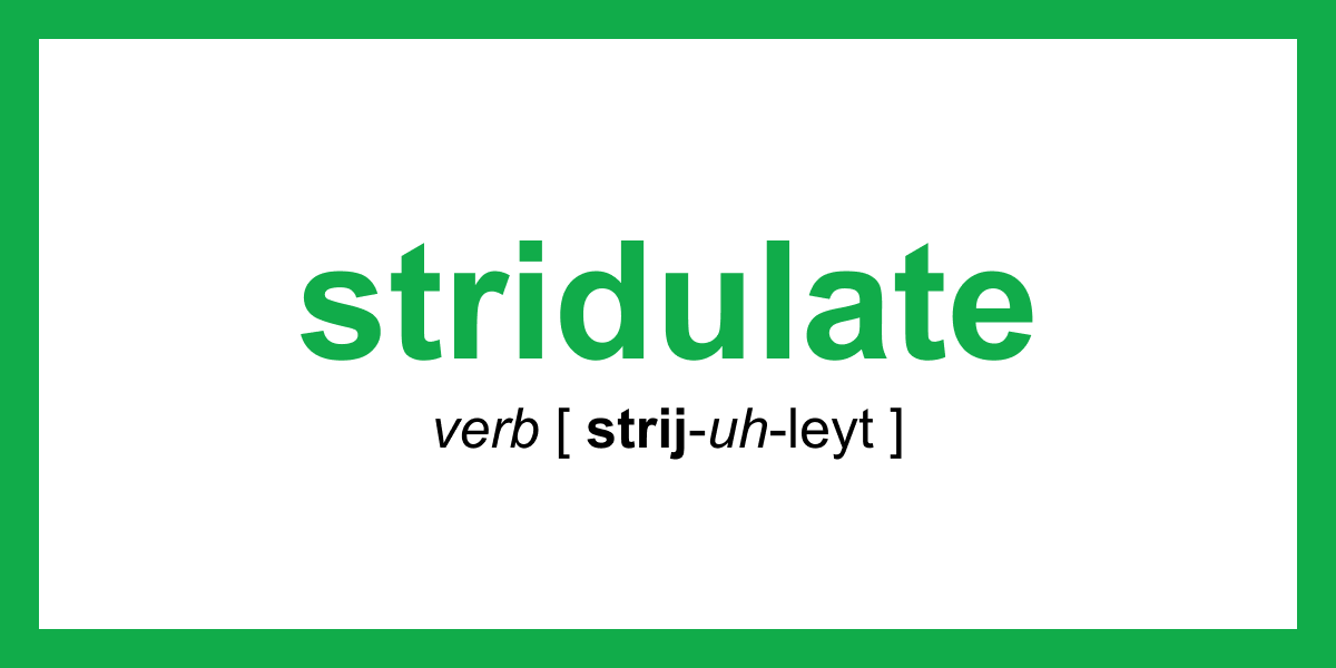 Word of the Day - stridulate | Dictionary.com