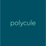 polycule Meaning | Gender & Sexuality | Dictionary.com