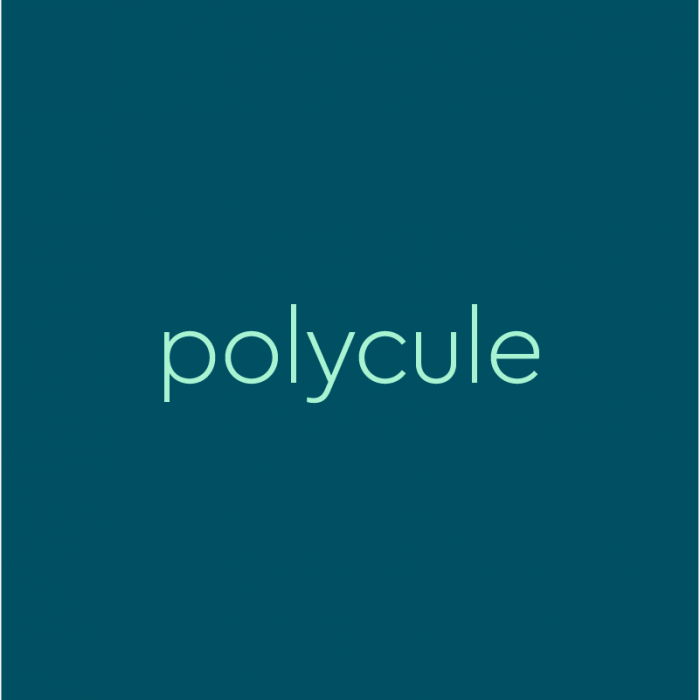 polycule Meaning | Gender & Sexuality | Dictionary.com