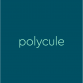 polycule Meaning | Gender & Sexuality | Dictionary.com