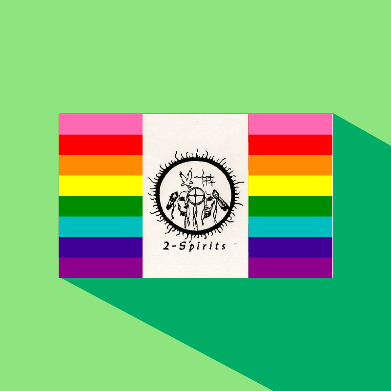 two-spirit Meaning | Gender & Sexuality | Dictionary.com