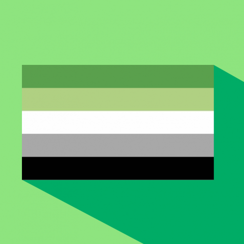 aromantic Meaning | Gender & Sexuality | Dictionary.com