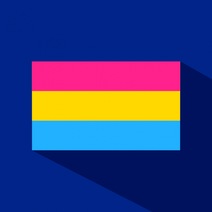pansexual Meaning | Gender & Sexuality | Dictionary.com