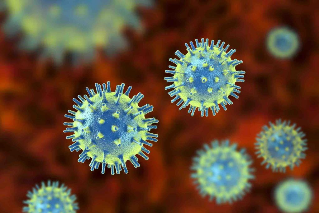 Virus Definition Meaning Dictionary Virus Definition Meaning Dictionary