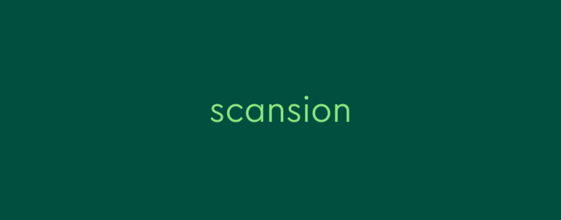 10 Essential Poetry Terms For Beginners | Dictionary.com