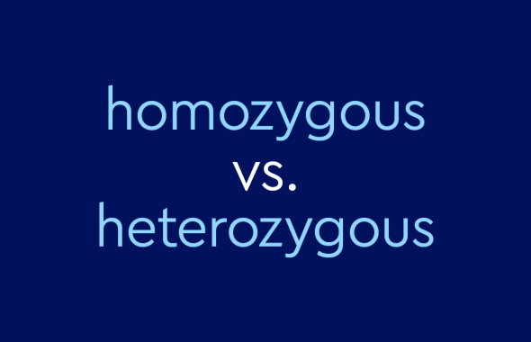 Why Do We Say "Trick or Treat"? - Dictionary.com