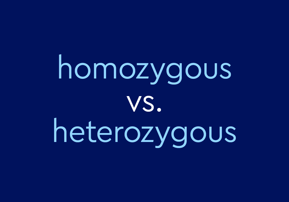  Homozygous Vs Heterozygous What s The Difference Dictionary