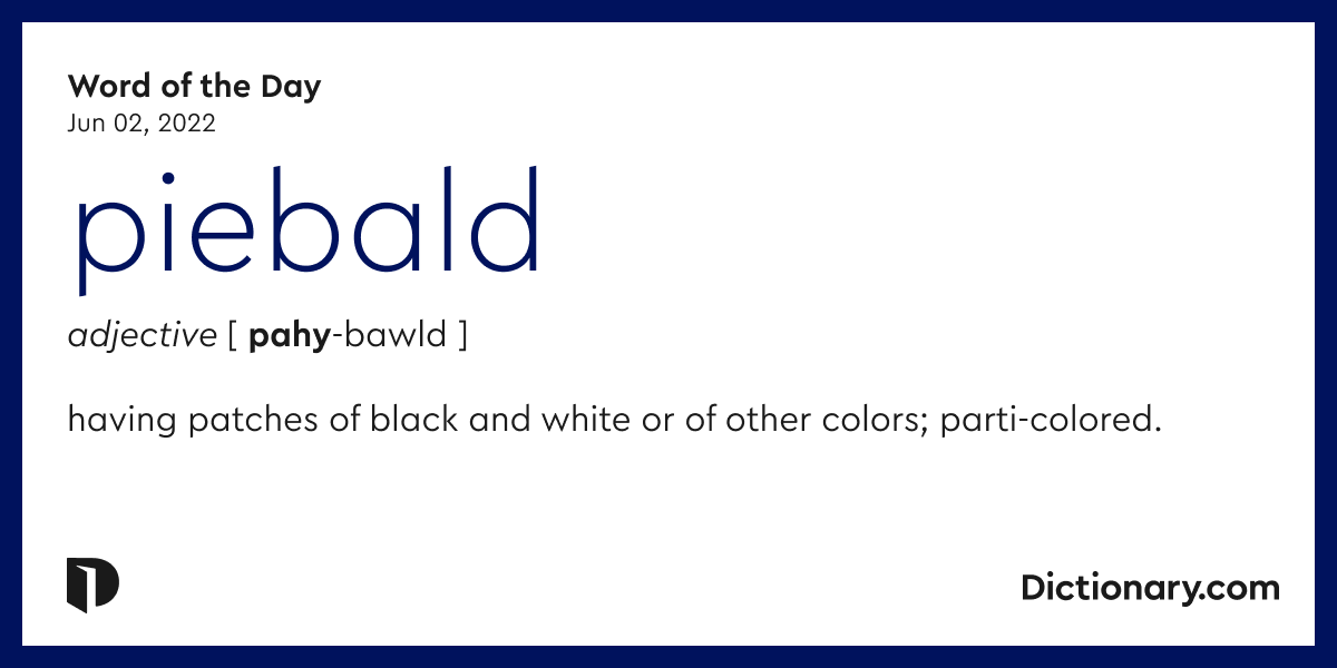 Piebald Person at Marcos Hines blog