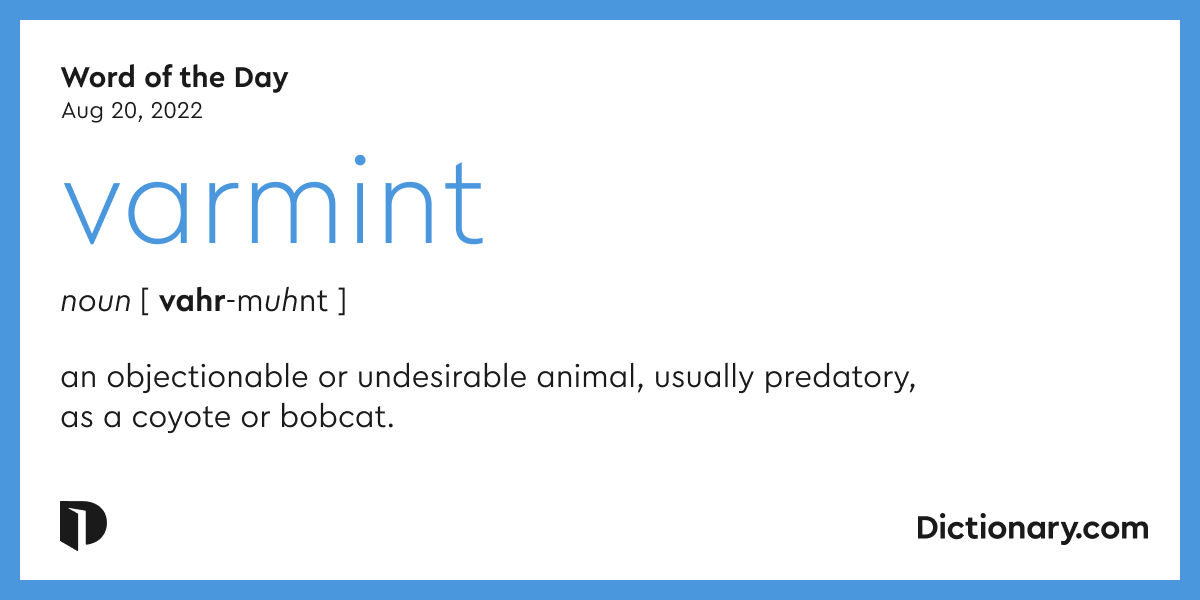 Varmint Meaning Youtube