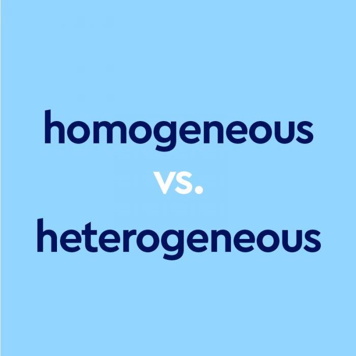 Homogeneous vs. Heterogeneous: What’s The Difference? | LaptrinhX / News
