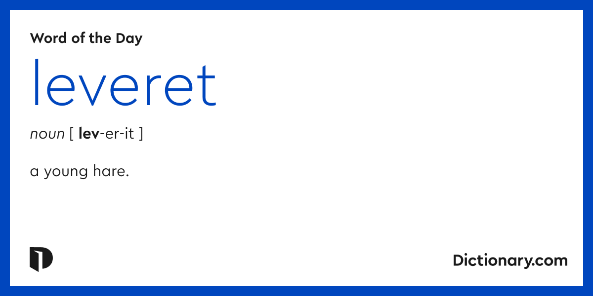 Word of the Day - leveret | Dictionary.com