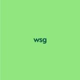 What Does 'wsg' Mean? | Acronyms by Dictionary.com