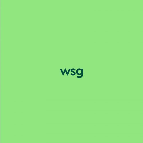 What Does 'wsg' Mean? | Acronyms by Dictionary.com