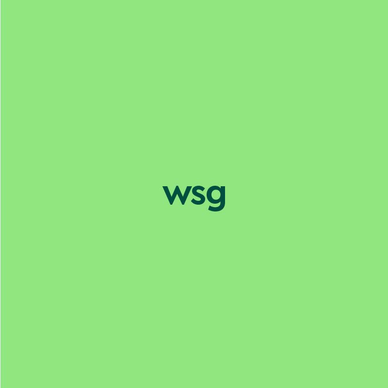 What Does 'wsg' Mean? | Acronyms by Dictionary.com
