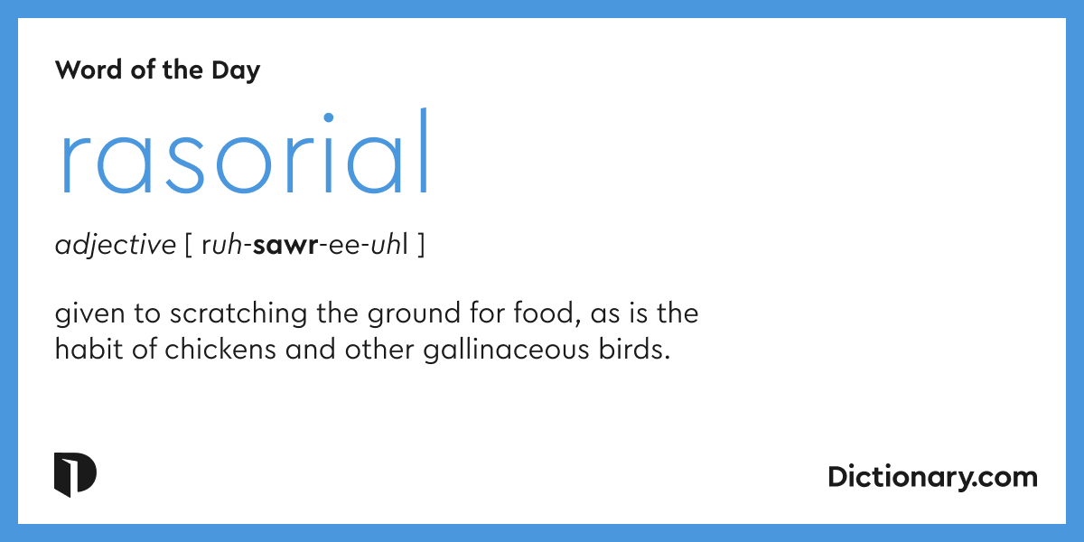 Word of the Day - rasorial | Dictionary.com